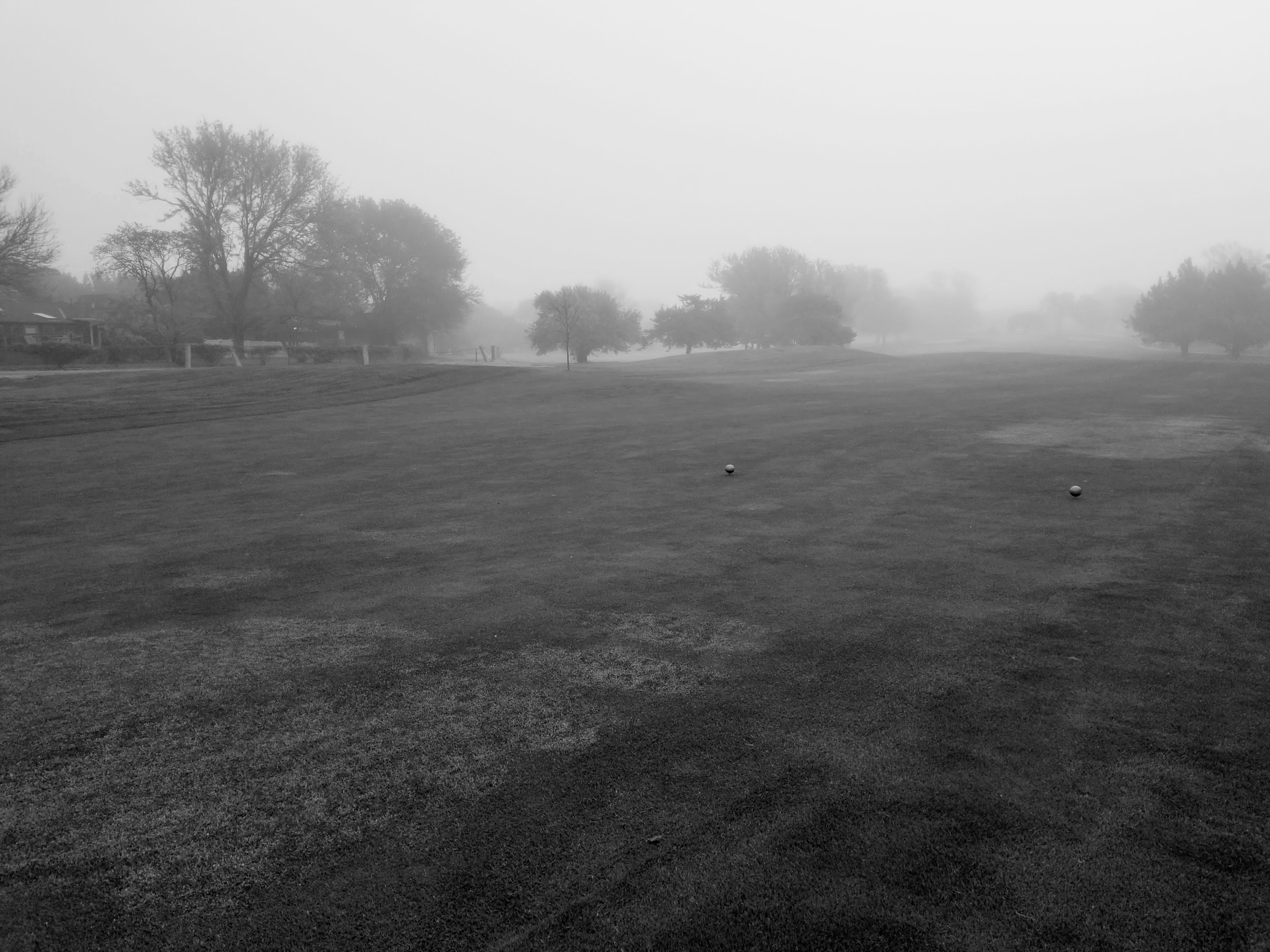 foggy_golf – Loopcircus